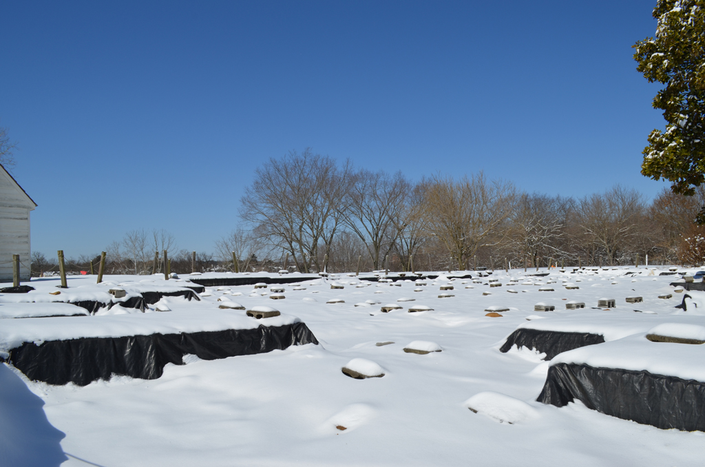 White Snow. Blue Skies. | Lives & Legacies