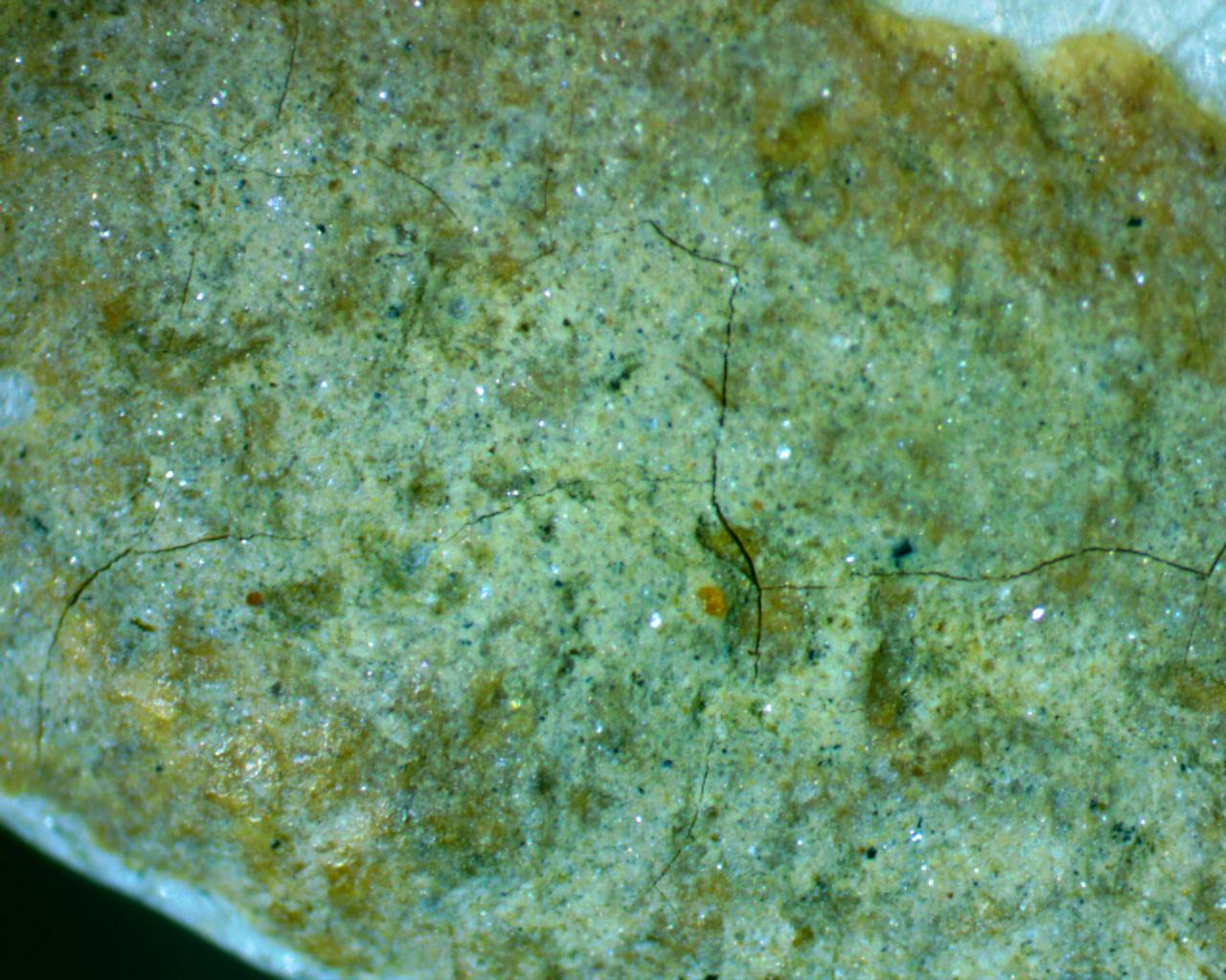 Photos: Glue Through a Microscope | Lives & Legacies