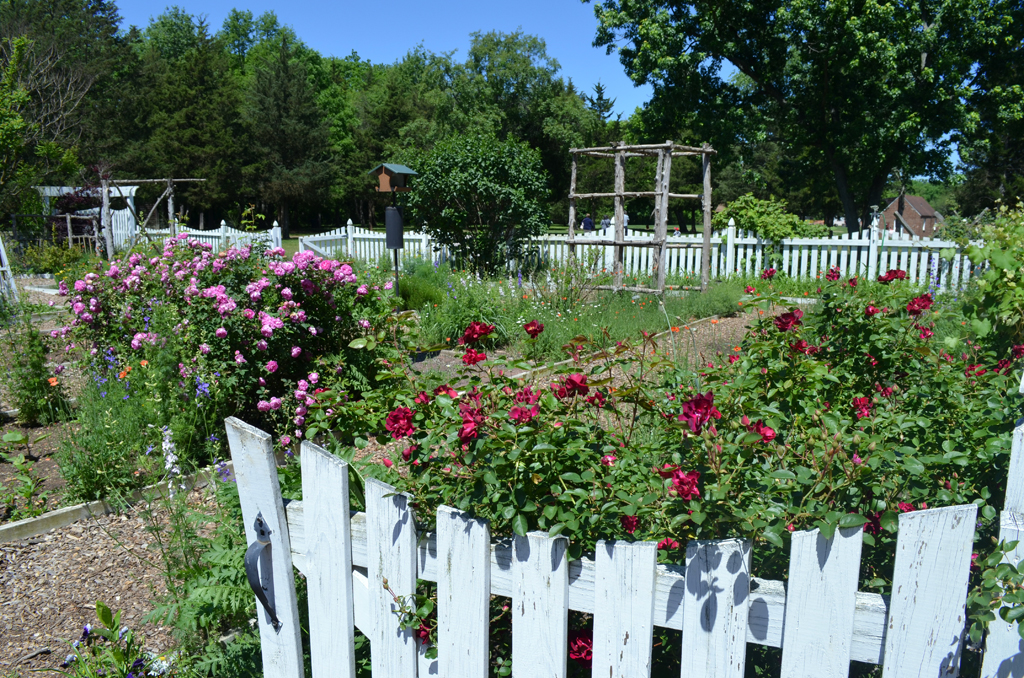 May Flowers | Lives & Legacies