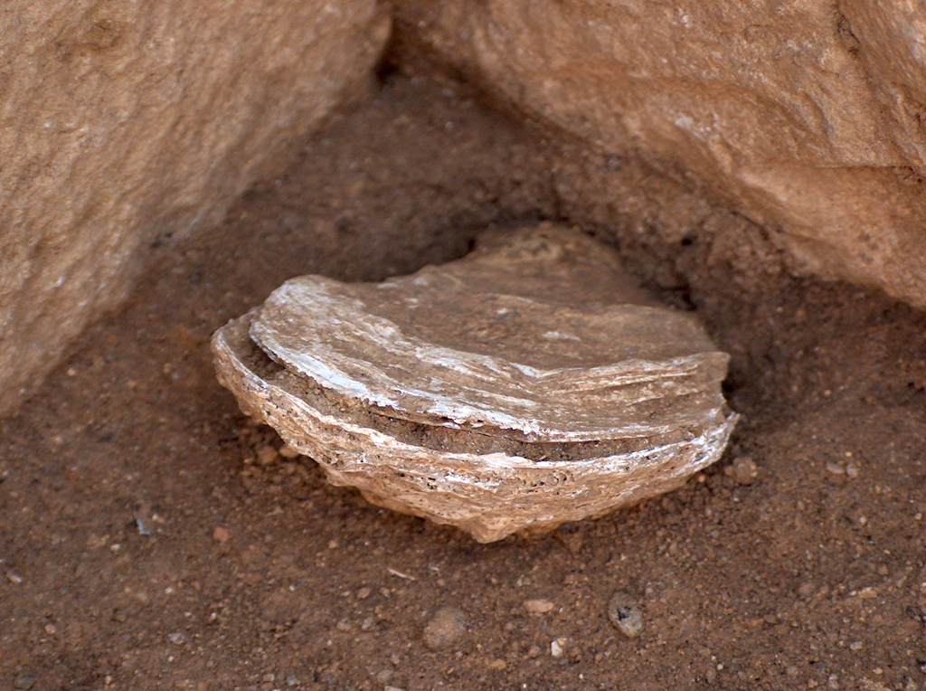 Cunning Folk and Conjurors: Folk Magic in Colonial Virginia | Lives ...