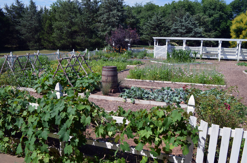 What’s Growing in Ferry Farm’s Garden? | Lives & Legacies