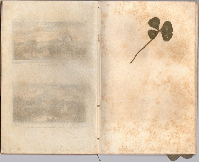 A Lucky Diary Discovery | Lives & Legacies