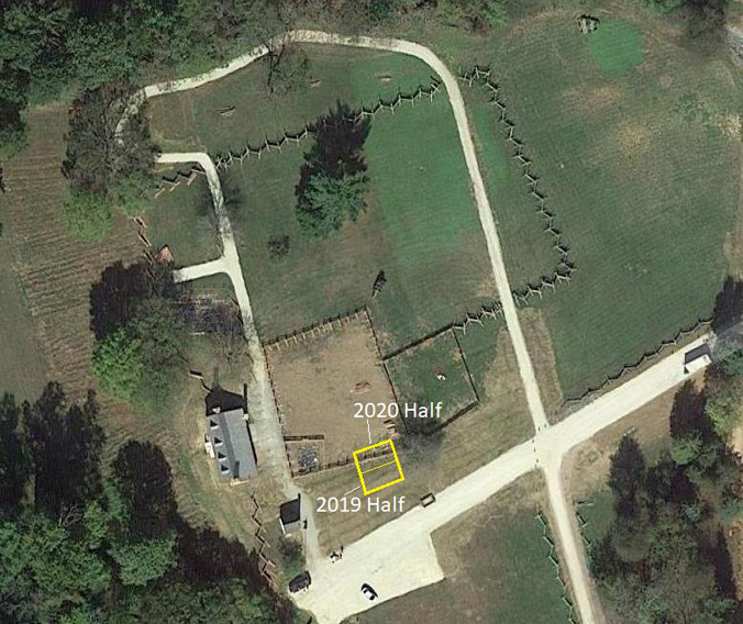 We’re Digging!: A Preview of This Year’s Archaeology Excavation at ...