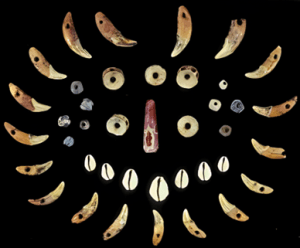 Cowrie Shells: Cultural and Economic Ties in the 18th-Century Atlantic ...